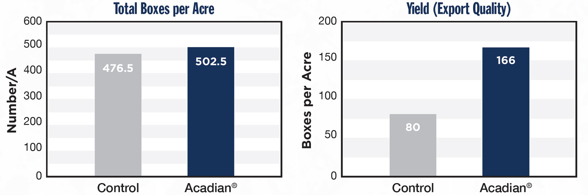 Broccoli - Acadian Plant Health