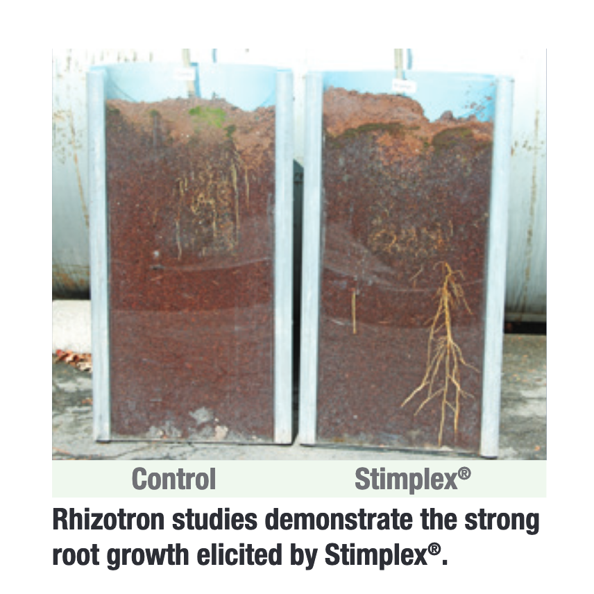 Citrus - Acadian Plant Health