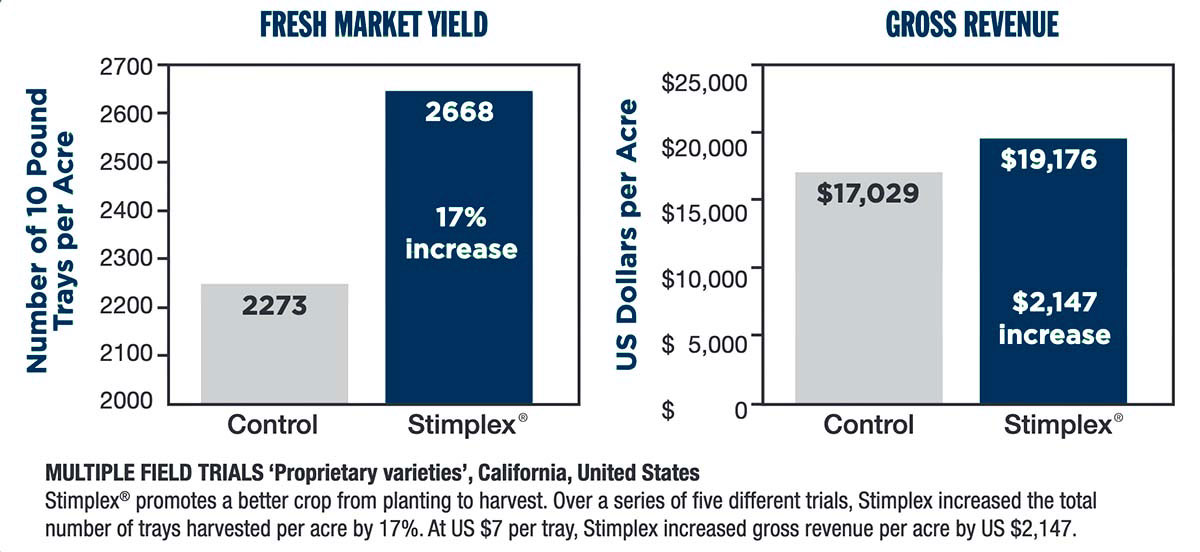 Strawberries - Acadian Plant Health