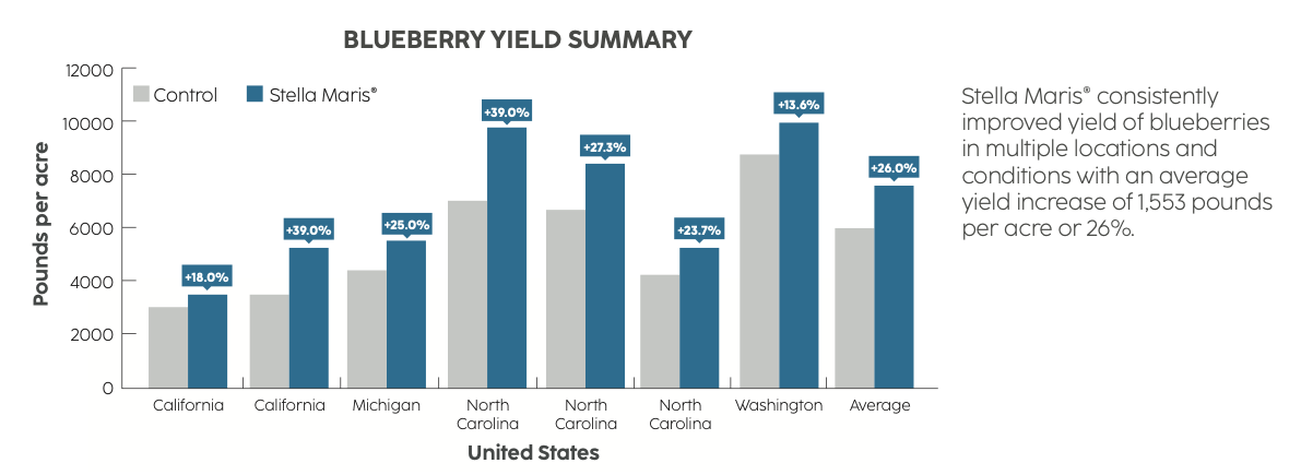 Blueberries - Acadian Plant Health